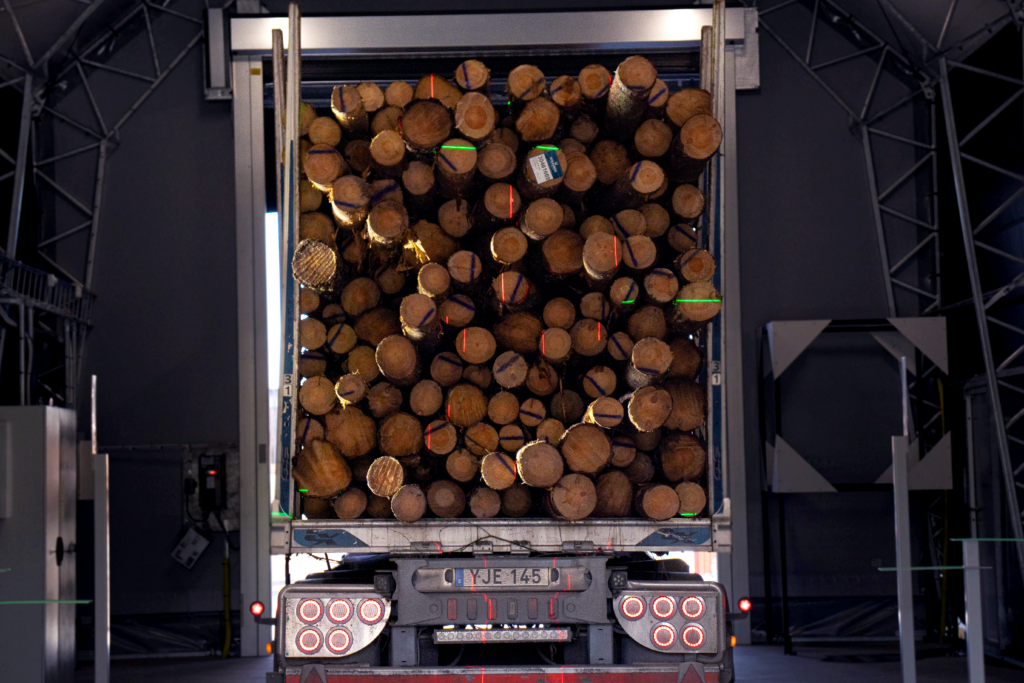 Advancing Timber Measurement with AI - Mabema